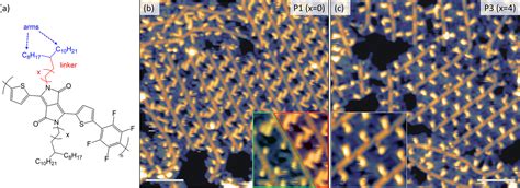 Molecular Scale Imaging Enables Direct Visualization Of Molecular
