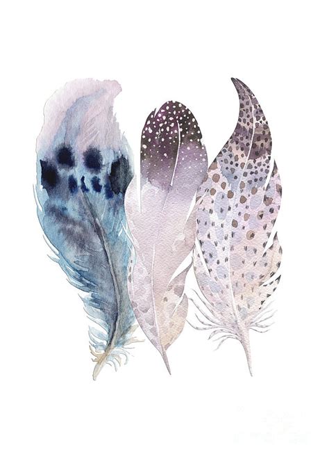 Trio Of Watercolour Feathers Mixed Media By Amanda Jane Fine Art America