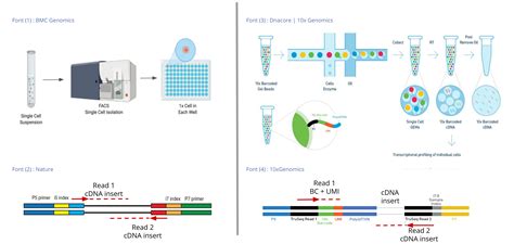Starsolo Single Cell Quantification In Omicsbox 3 1 Rna Seq Blog