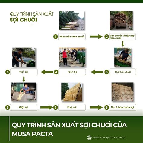 Musa 𝗦𝗼̛̣𝗶 𝗰𝗵𝘂𝗼̂́𝗶 𝗱𝗮̂𝘆 𝗰𝗵𝘂𝗼̂́𝗶 𝘀𝗼̛̣𝗶 𝗱𝗮̂𝘆 𝗰𝗵𝘂𝗼̂́𝗶 𝗹𝗮̀ 𝗺𝗼̣̂𝘁 𝗹𝗼𝗮̣𝗶