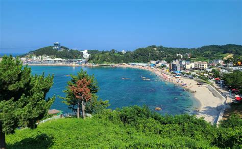 Jangho Beach 🏖️ Gangwon South Korea Detailed Features Map Photos