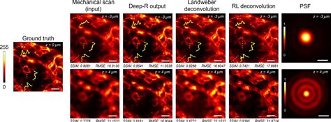 Figure 1 From Single Shot Autofocusing Of Microscopy Images Using Deep Learning Semantic Scholar