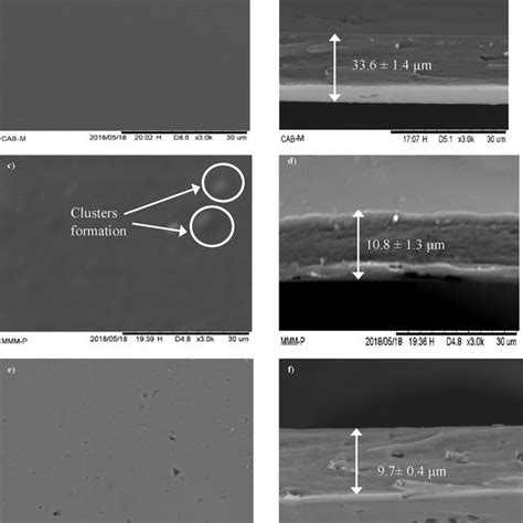 Solution Diffusion Stages Download Scientific Diagram