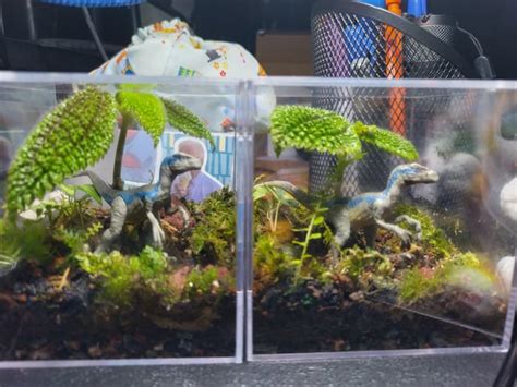 Jurassic Cube R Miniworlds