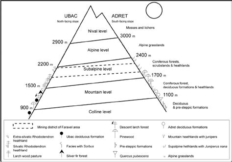 Pattern Of Vegetation Current Vertical Zoning With Location Of The Area Download Scientific