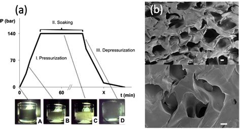 Figure 1 From Solvent Free Processing Of Drug Loaded Polyε