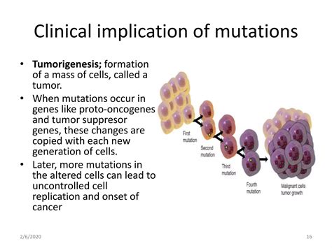 Mutation And Mutagens Pptx