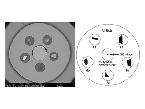 Cxs 5tx Calibration Standard Labtech Cxs 5tx Calibration Standard Labtech