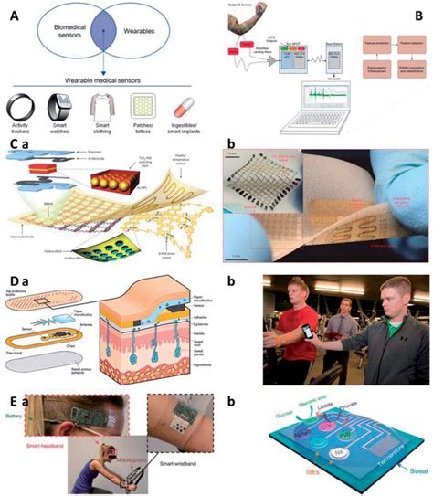 Wearable Devices For Muscle Injuries Assessment A Wearable Download Scientific Diagram