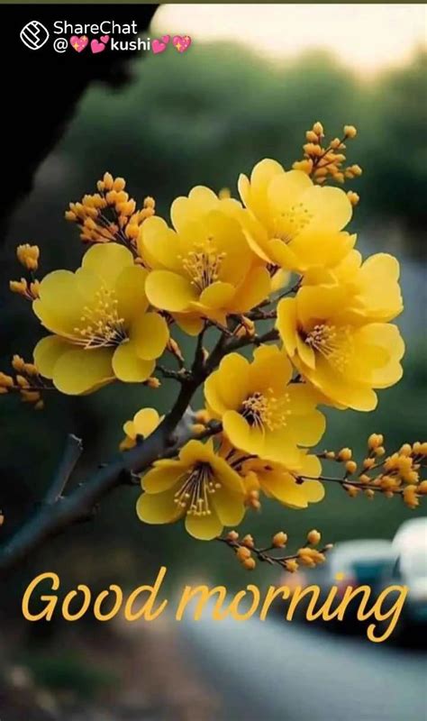 Jami M On Linkedin 100 Remote Houston Texas W2 Salesforce Lightening Developer 12 …