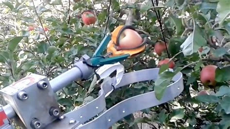 Fruit Trees Home Gardening Apple Cherry Pear Plum Tree Fruit Picker Fruit Trees Home Gardening Apple Cherry Pear Plum Tree Fruit Picker