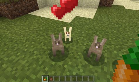 Tameable Rabbits Addon Minecraft Pe Mods And Addons