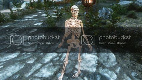 Bizarre Skeleton Armor Appearance Ingame Skyrim Technical Support Loverslab