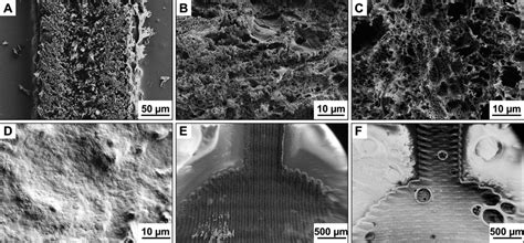 Sem Micrographs Of Morphology Of Carbon Electrode Obtained By