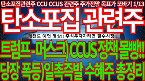탄소포집 관련주 트럼프 머스크 Ccus 정책 몰빵 당장 폭등 일촉즉발 수혜주 총정리 또바기 주식강의 주가전망