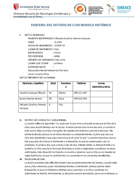 Esquema De Presentación Del Caso Modelo Sistémico Psic 101 Studocu