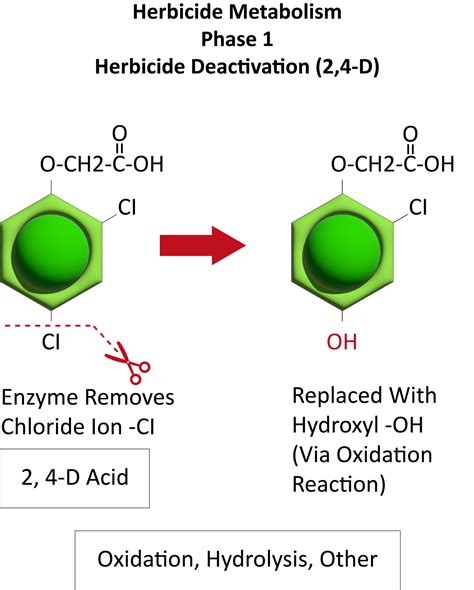 Take Actions 2025 Herbicide Classification Chart Now Available Getting Rid Of Weeds