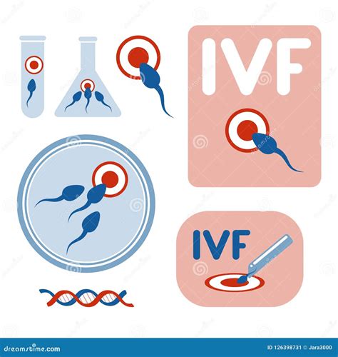 In Vitro Fertilisation Collection Of Vector Images Stock Vector