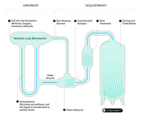 Advanced Bioreactor Developer Unibio Unveils Refreshed Branding