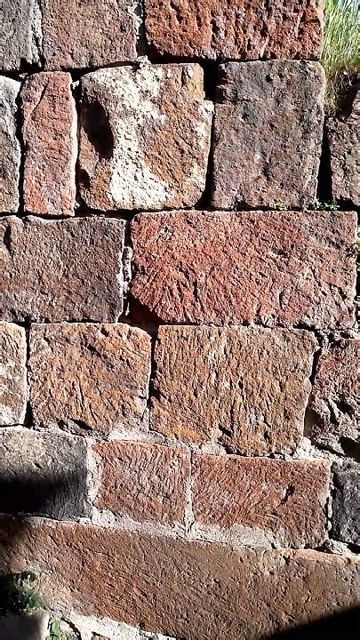 Avani Ekexeci Youtube