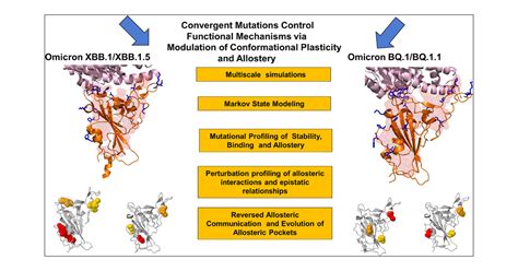 Markov State Models And Perturbation Based Approaches Reveal Distinct Dynamic Signatures And
