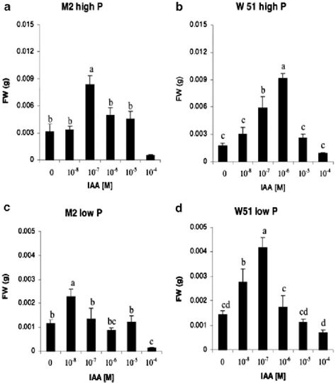 2 Effect Of Exogenously Applied Iaa On Growth Of Transformed Cistus