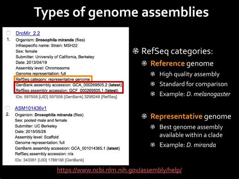 Issues With Creating Genome Browsers For Whole Genome Assemblies Ppt