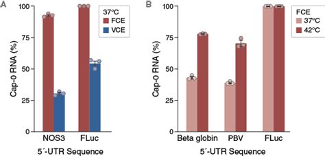 Neb Newsletter 2022 Vol 2 Lyophilization Mrna Capping Faustovirus Q5