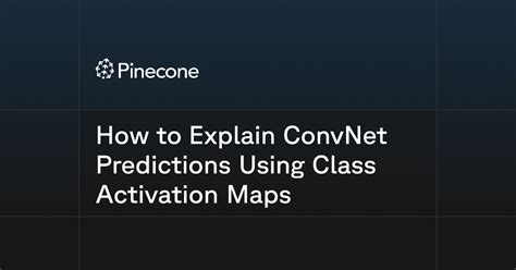 How To Explain Convnet Predictions Using Class Activation Maps Pinecone