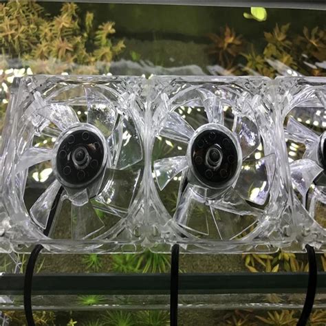 110v 240v