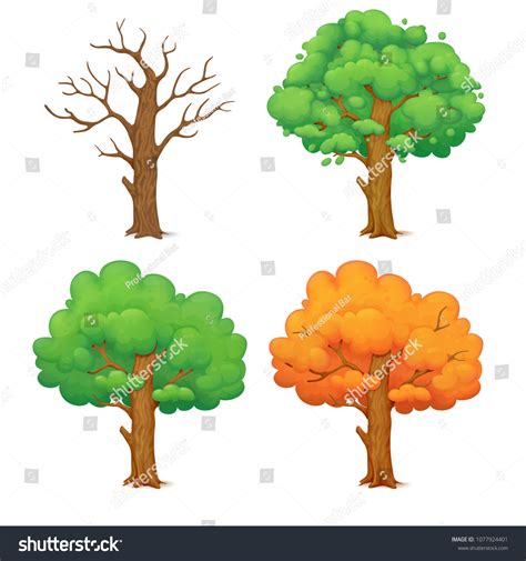 Cartoon Illustration Tree Different Seasons Isolated Stock Vector Royalty Free