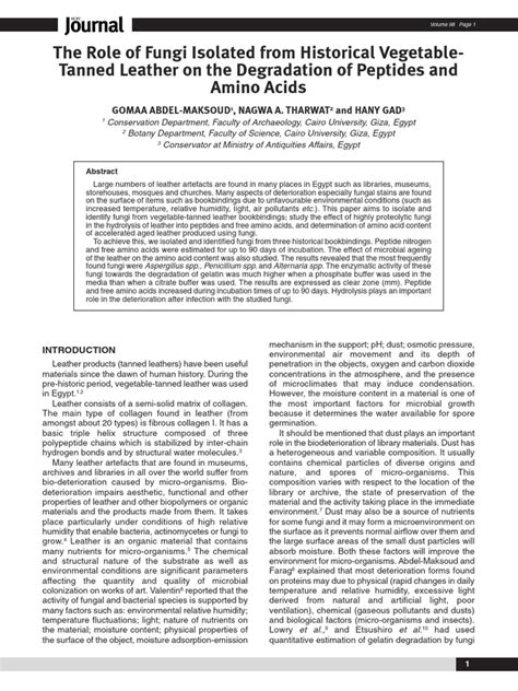 The Role Of Fungi Isolatedfrom Historical Vegetabletanned Leather On