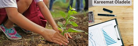 GitHub AO Kareemat ENVIRON PROJECT SQL Analyzing A Non Profit Organization That Aims To