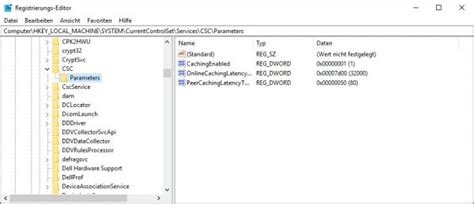 Windows CSC Cache offline File Cache löschen deaktivieren