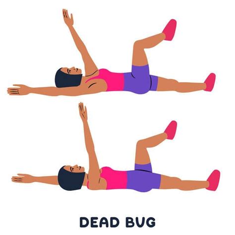 How To Do The Dead Bug Exercise My Power Life Dead Bug Exercise Do How To Do The Dead Bug Exercise My Power Life Dead Bug Exercise Do