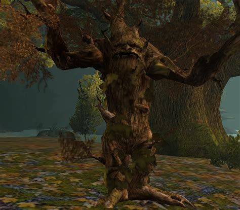 Waldschrat Das Grüne Auge Dsa Wiki Fandom