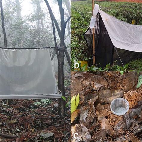 Three Passive Acquisition Methods A Flight Interception Trap B