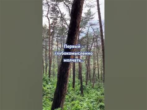 Сокровища Валькирии. Стоящий у солнца. Сергей Трофимович Алексеев.# ...