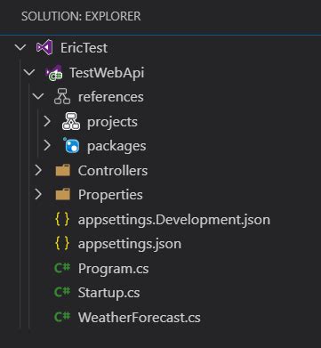 玩转VSCode 完整构建VSCode开发调试环境 Eric zhou 博客园