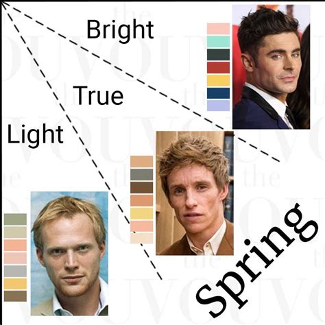 Light Spring Colour Palette Complete Guide For Men