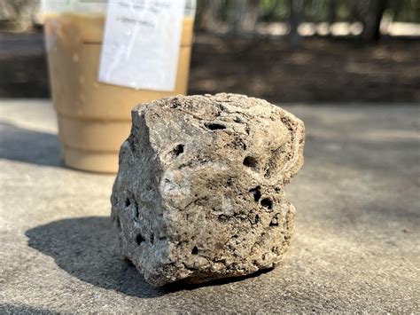 Identification Help Needed R Fossils