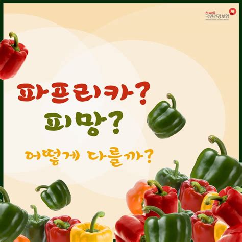 국민건강보험 비슷한듯 다른 파프리카 와 피망 의 차이점을 알고 있나요 화려한 색깔과 아삭한