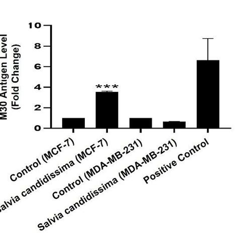 Fluorescence Imaging Of Mcf 7 And Mda Mb 231 Cells To Determine Cell Download Scientific