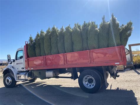 Cal Herbolds Nursery Hesperia Ca