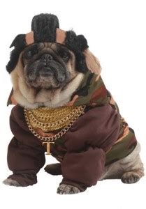 The Best Pug Costumes Known To Man