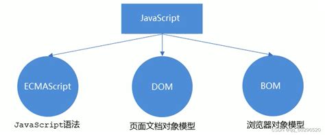 Javascript基础入门教程 Csdn博客