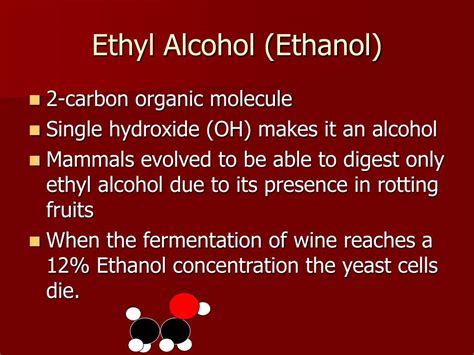 Ppt Cell Respiration Powerpoint Presentation Free Download Id6173316