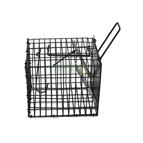 Mini Small Type Mouse Trap Cage Gkmt 01 Bird Control Products