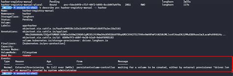 [bug] pvc only works with plural annotation `
