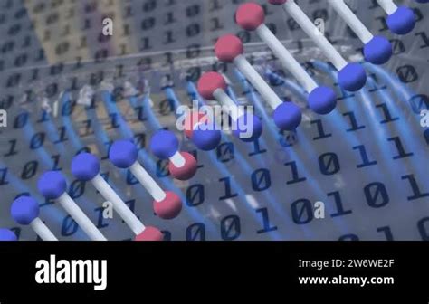 Animation Of Binary Coding And Dna Strand Over Server Global